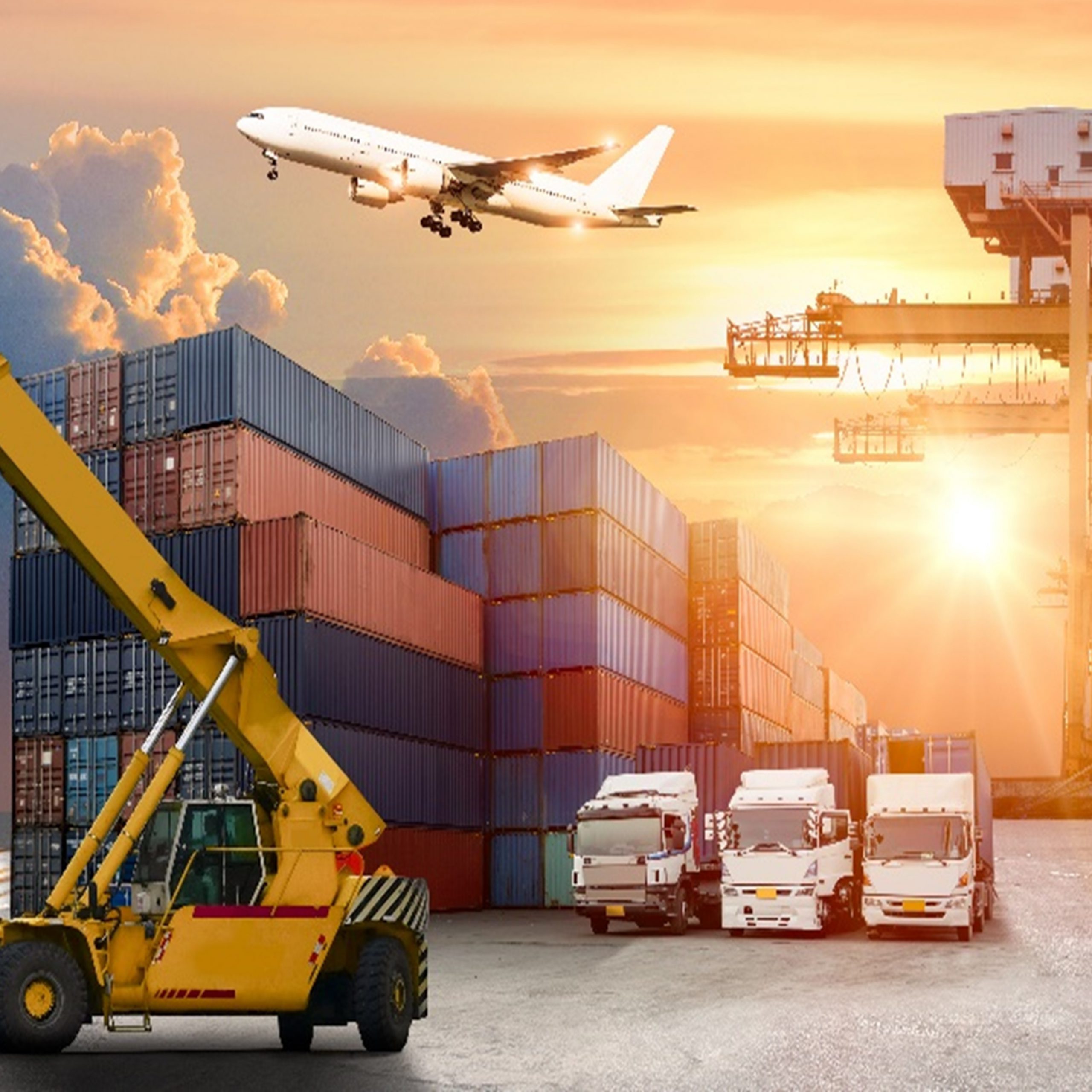 Overseas Technology Training to Germany on Smart Logistics and ...